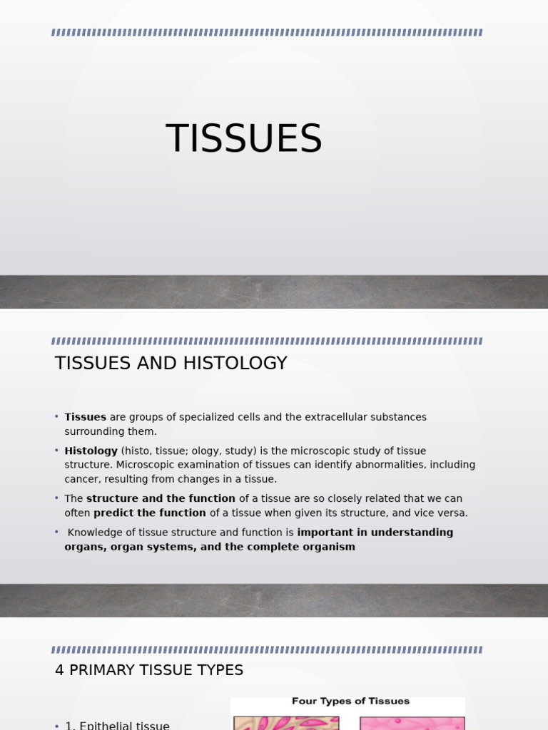 TISSUES Autosaved | PDF