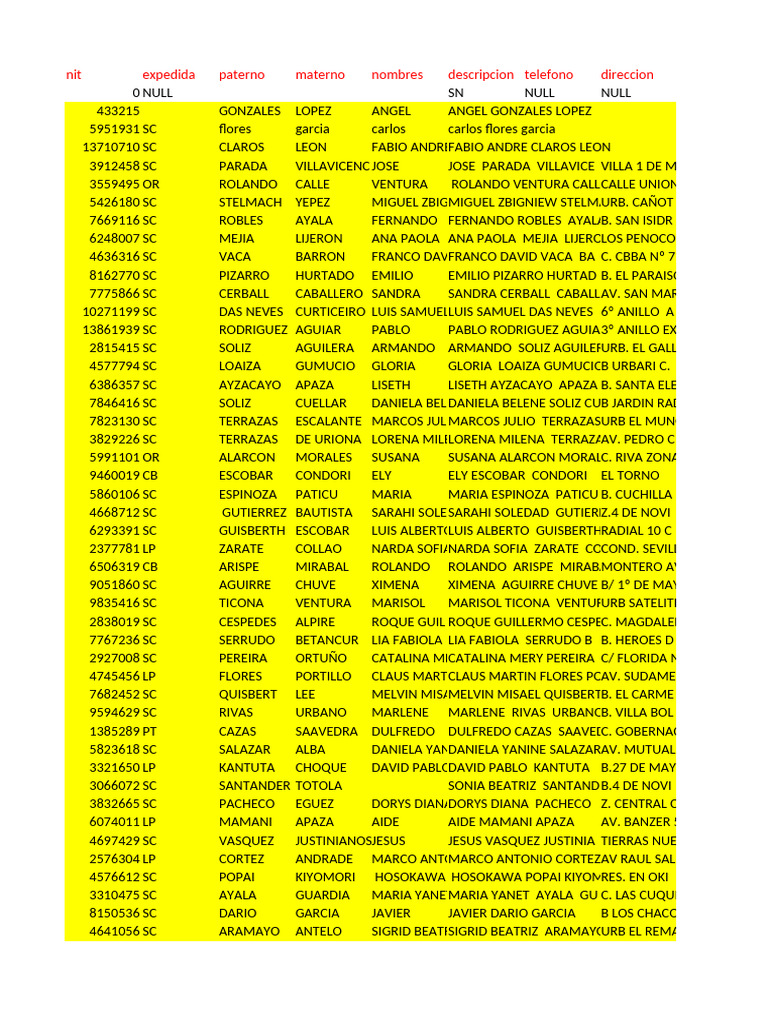 Copia de Clientes - SRB | PDF