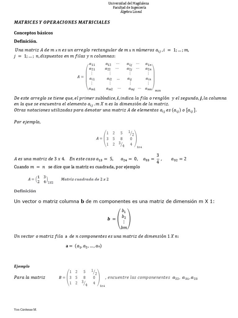 Matrices 1 | PDF