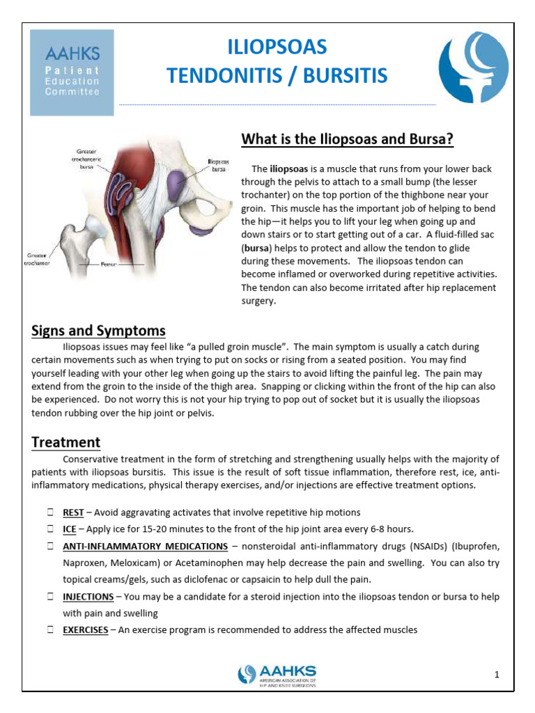 Iliopsoas Bursitis Ex | PDF