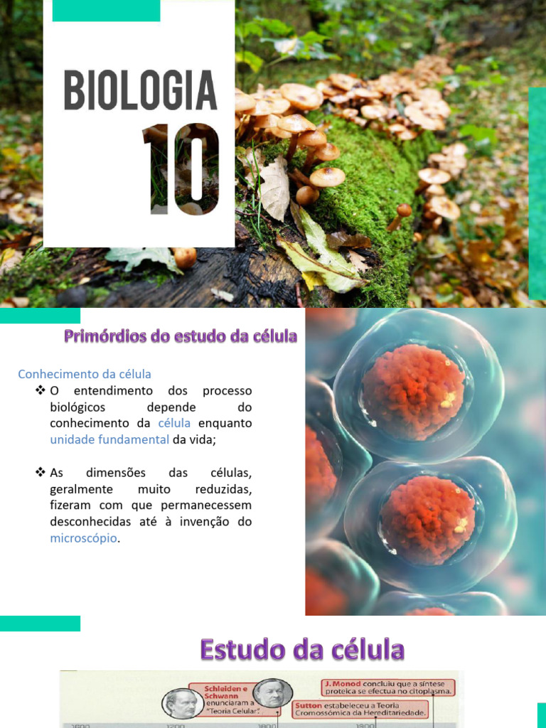 Célula | PDF