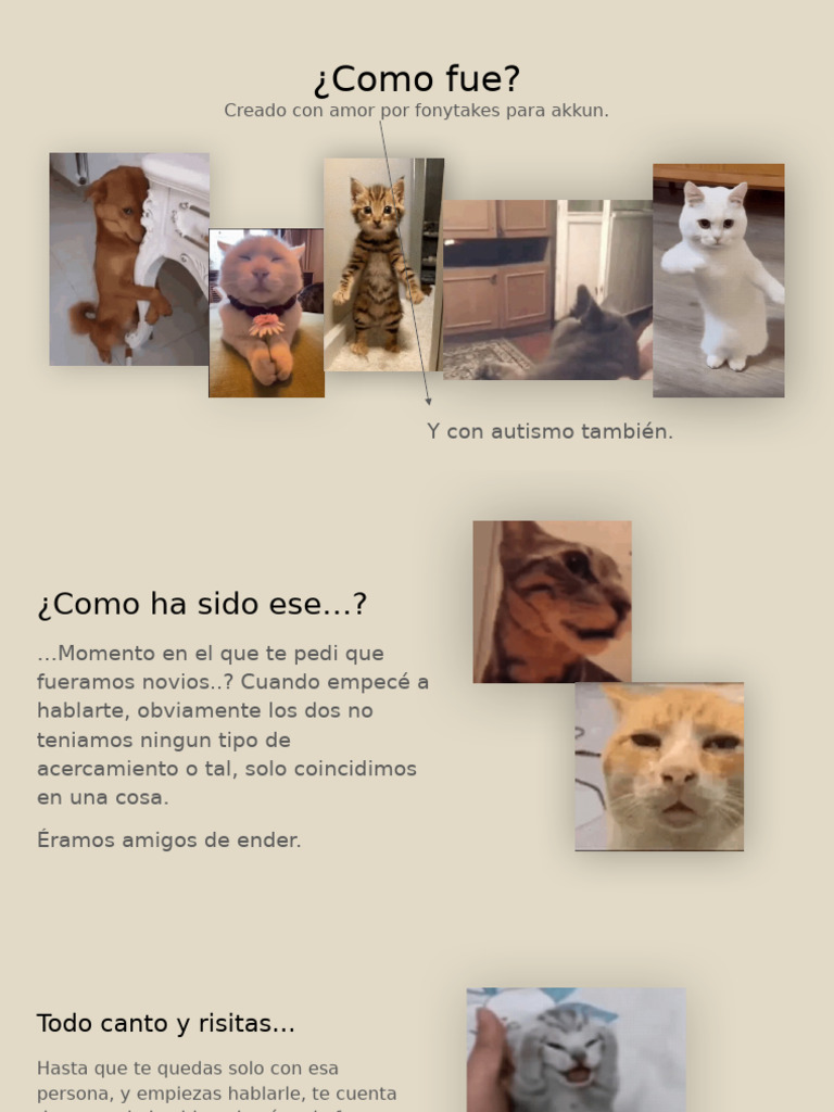 ¿Como Fue | PDF