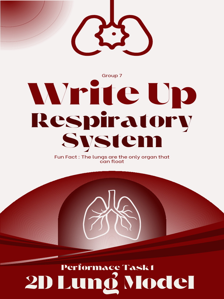 2D Lung Model (Group 7) | PDF