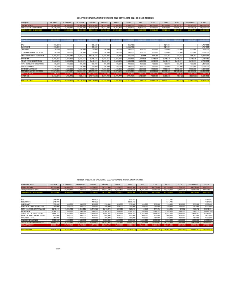 Compte D'exploitation 11 | PDF