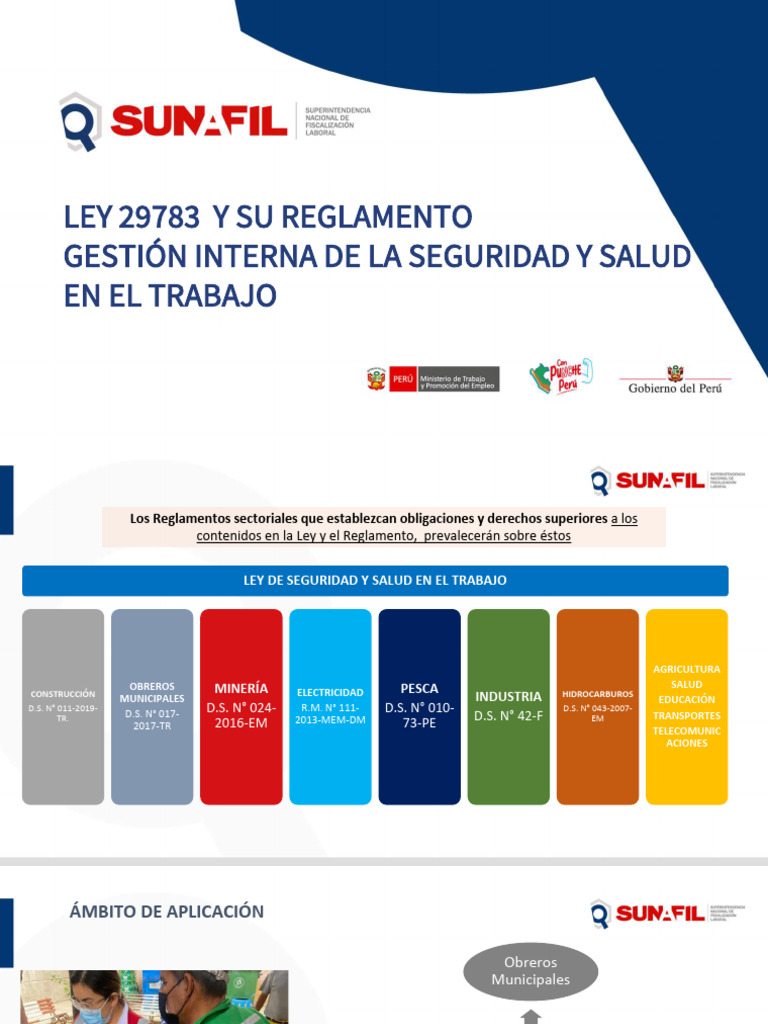 Ley 29783 y Su Reglamento | PDF