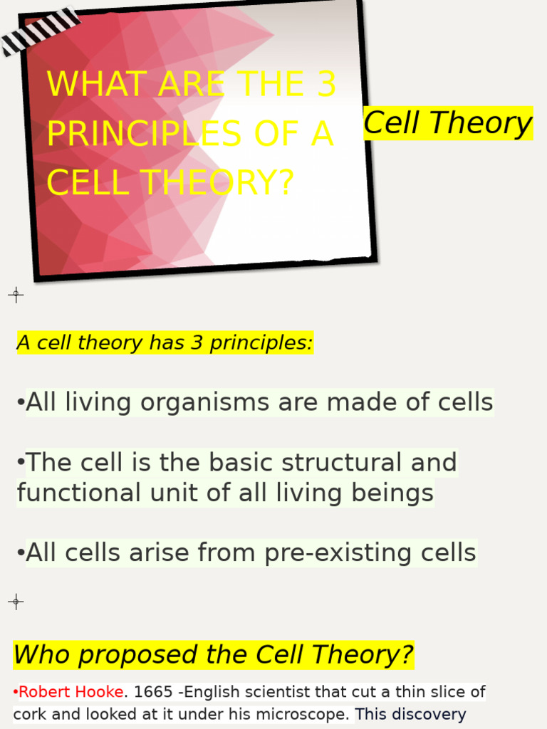 Cell Theory | PDF