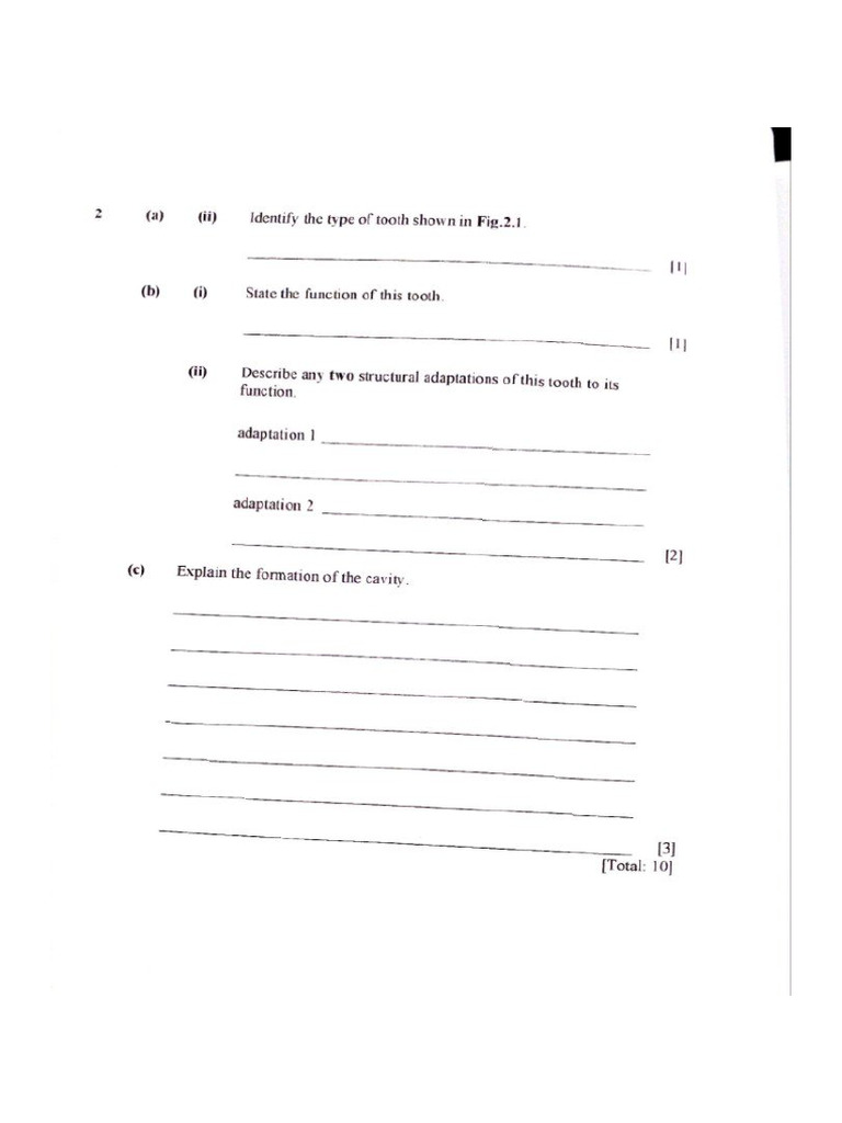 Biology 10 | PDF