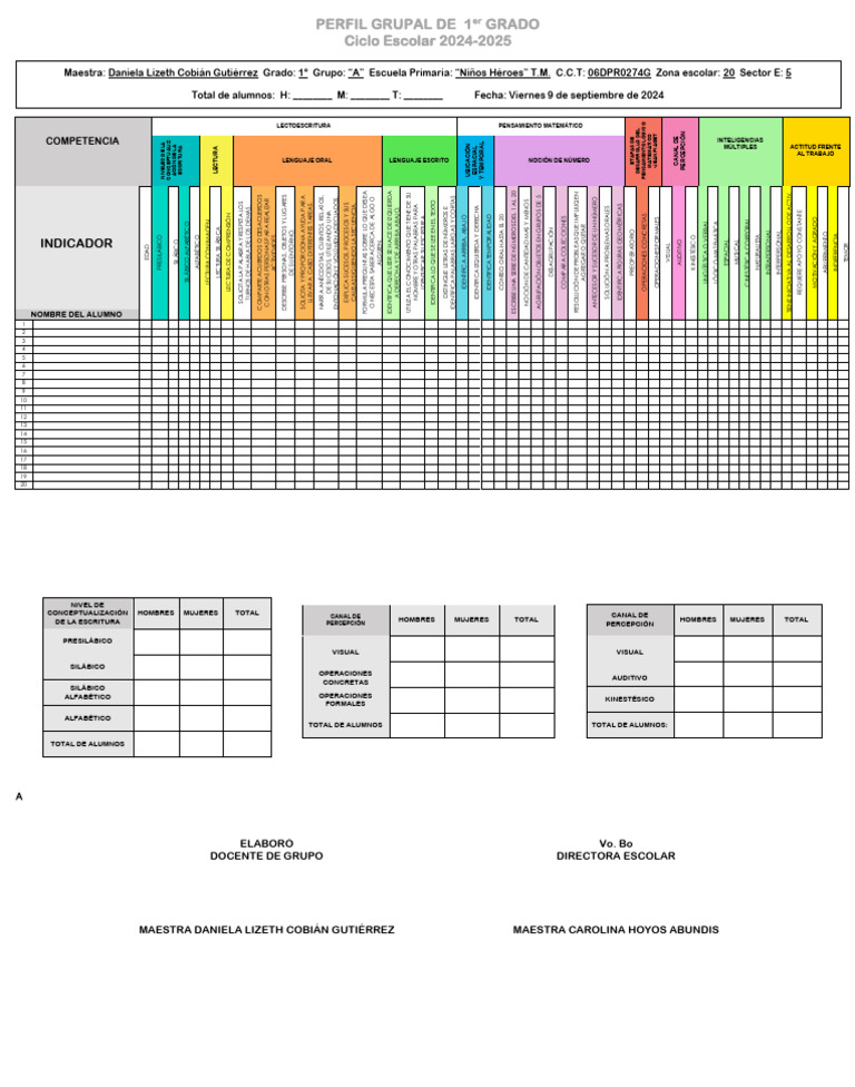Formato Perfil Grupal | PDF