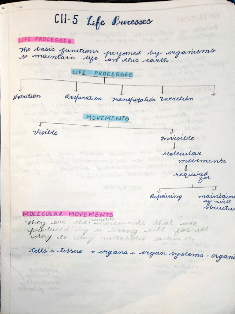 Biology Ch-5 Life Processes (Running Notes) | PDF
