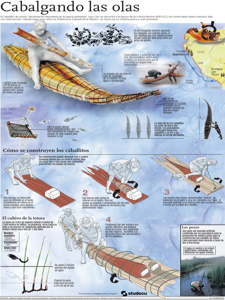 Infografía - Cabalgando Las Olas | PDF
