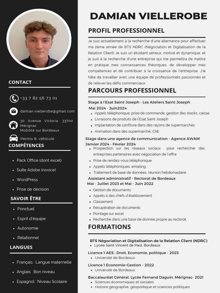 cv-de-viellerobe-damian-alternance-2024-2025-pdf
