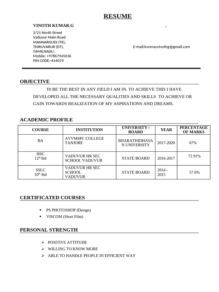 VK resume | PDF
