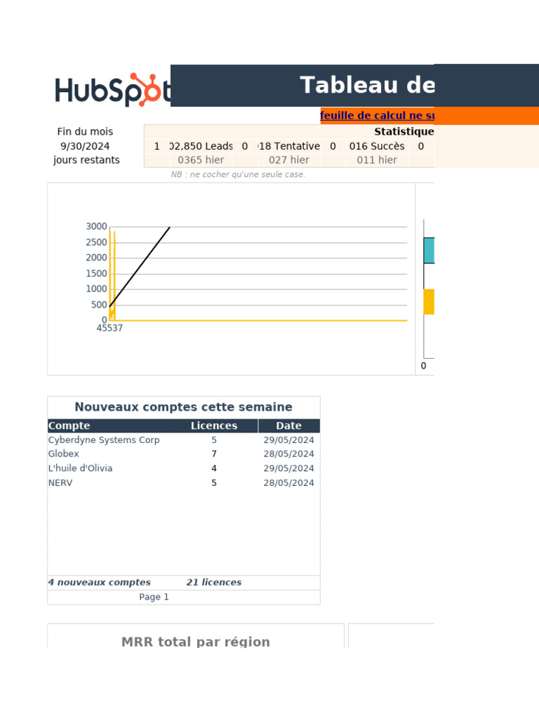 Modele Reporting Commercial | PDF