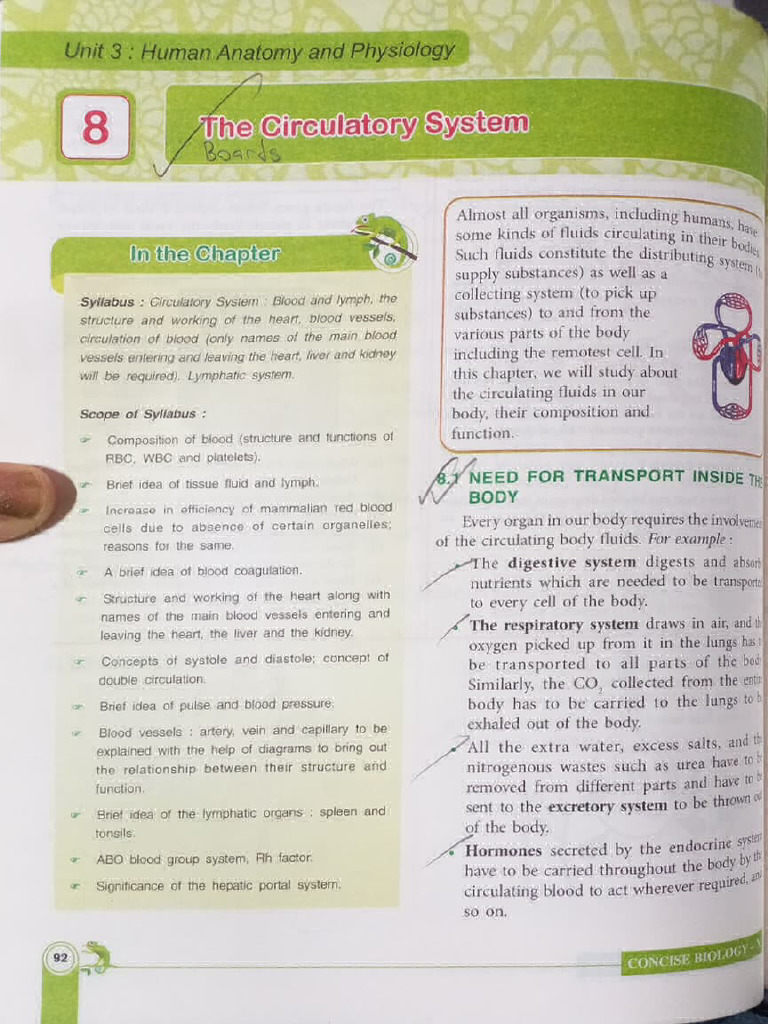 The Circulatory System Class 10 | PDF
