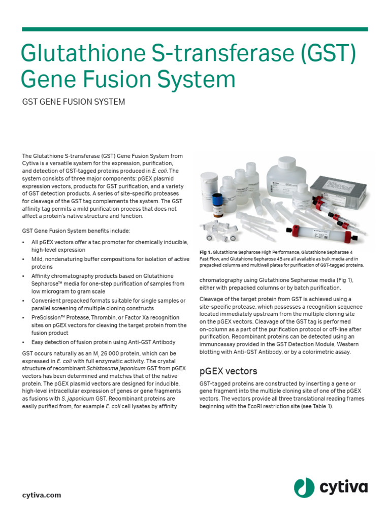 Cytiva - Glutathione S-Transferase (GST) Gene Fusion System | PDF