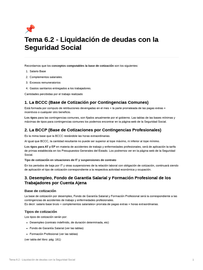 Tema 6.2 - Liquidación de Deudas Con La Seguridad Social | PDF