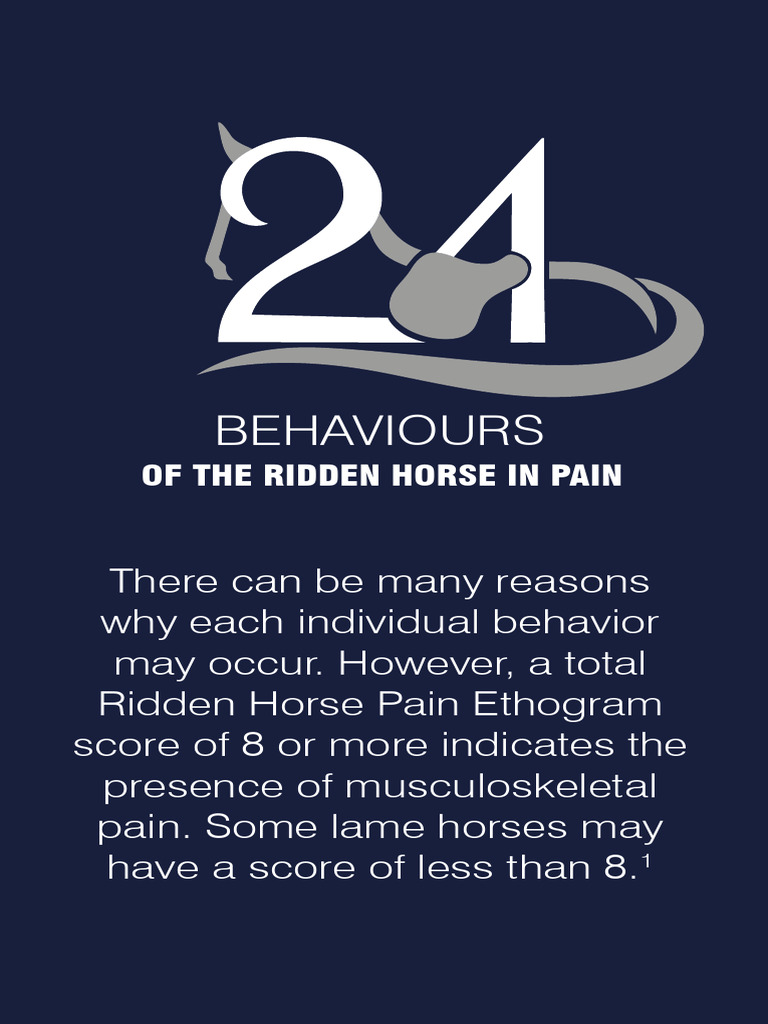 24 Equine Pain | PDF