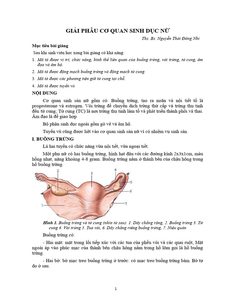Ôn Tập Ktra | PDF