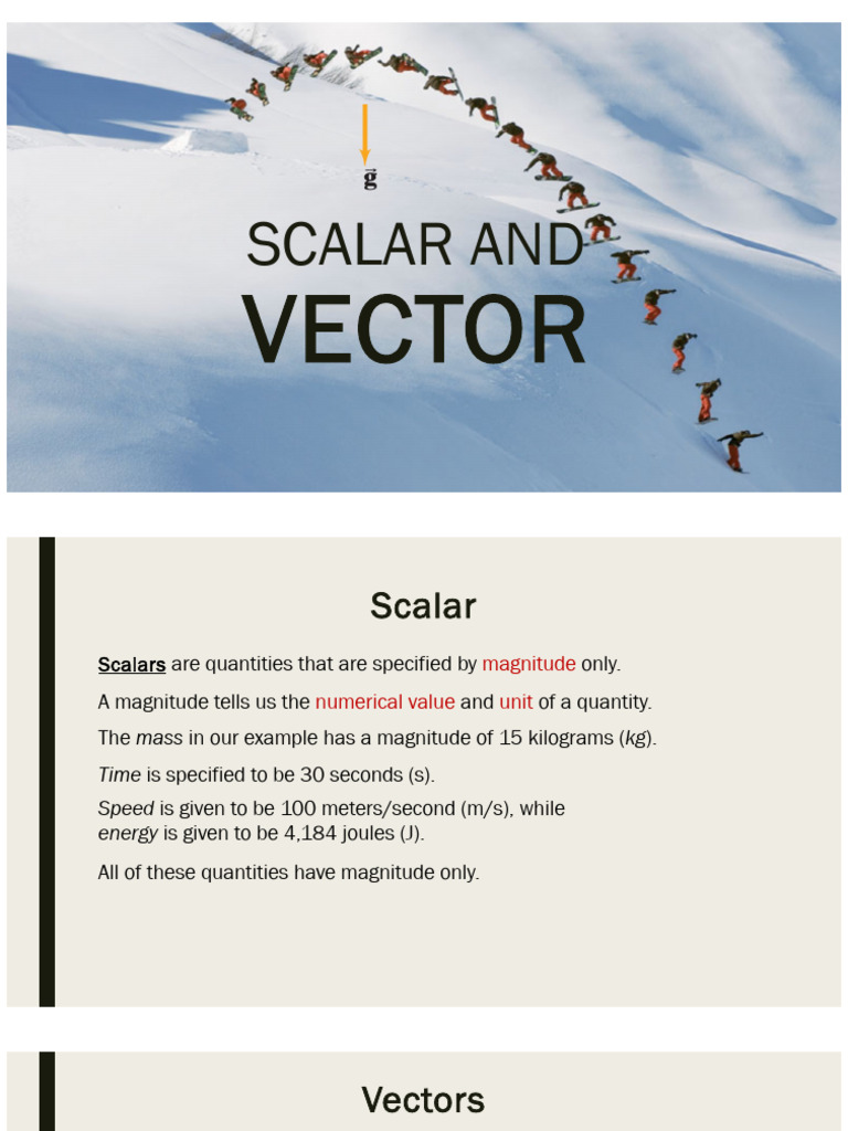 Motion in A Straight Line | PDF