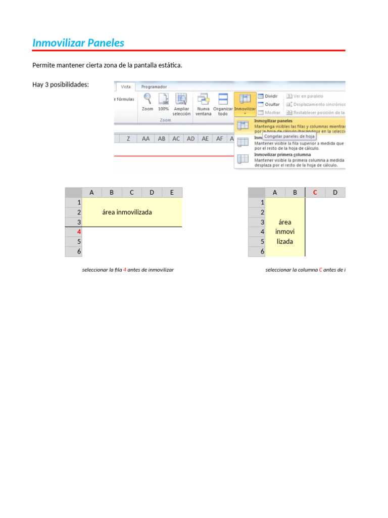 inmovilizar paneles | PDF