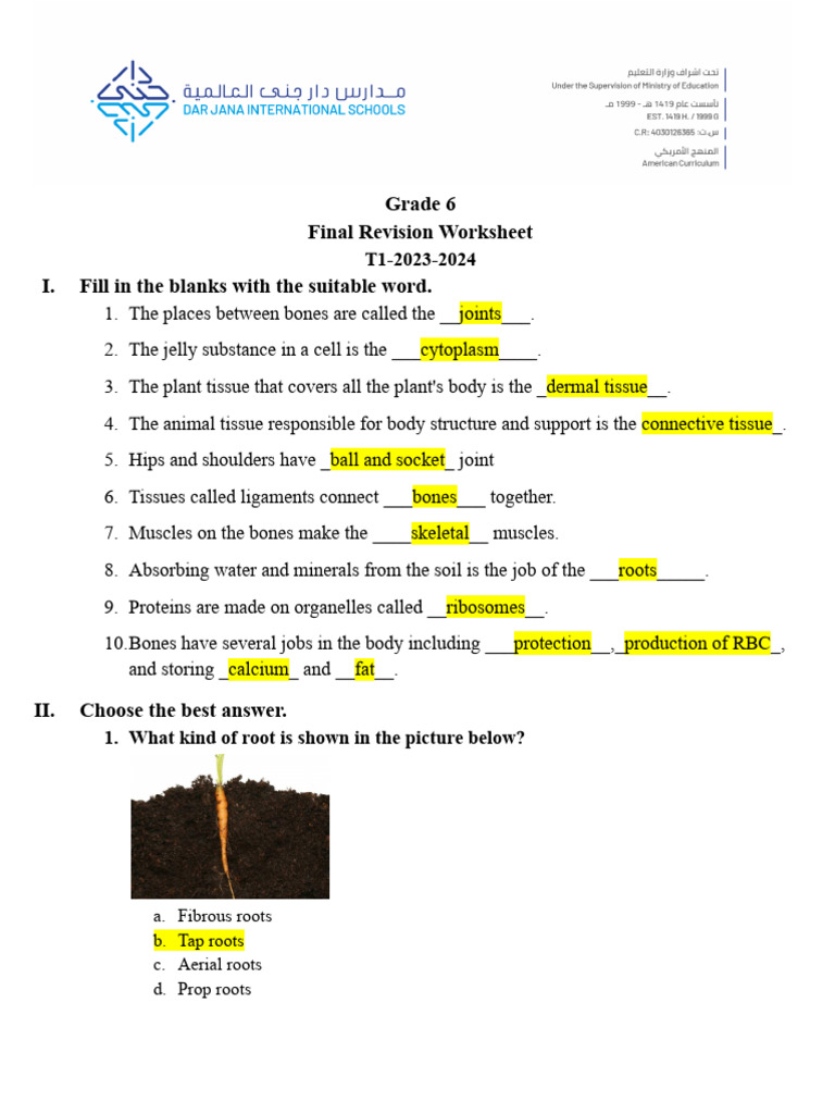 Answer Key - Grade 6 Final Revision Worksheet | PDF