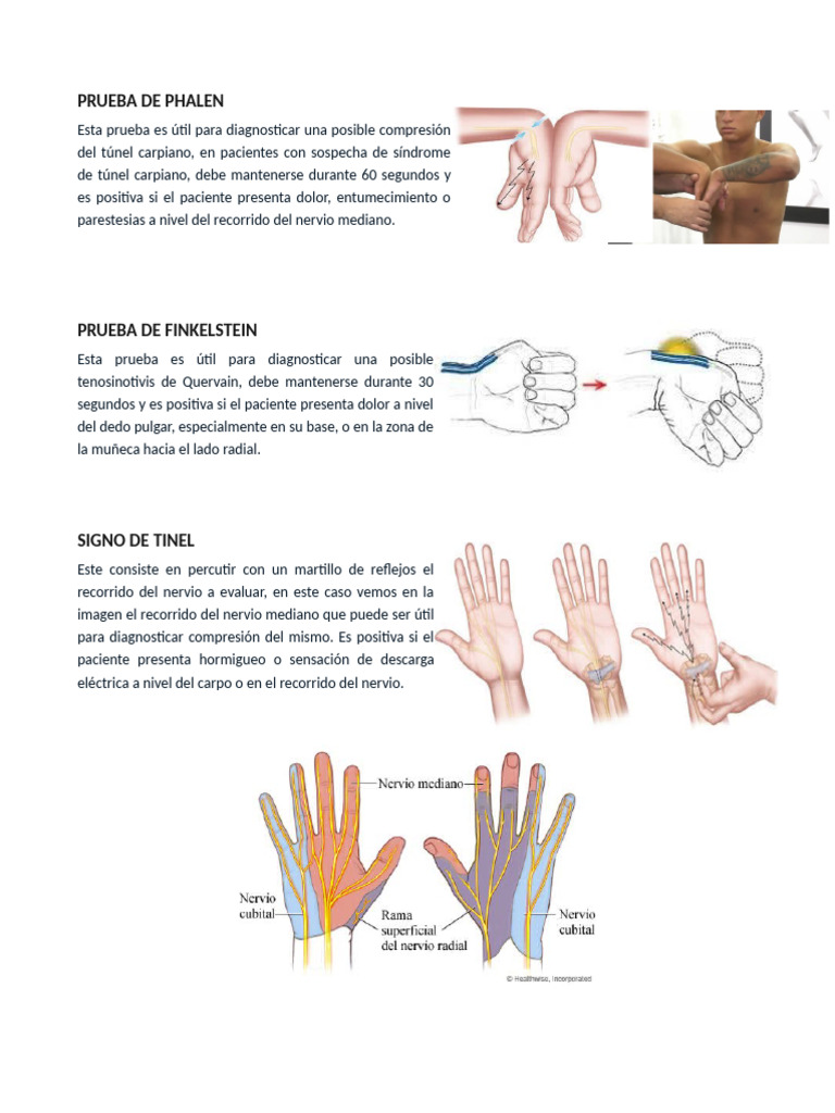 Pruebas de Mano | PDF
