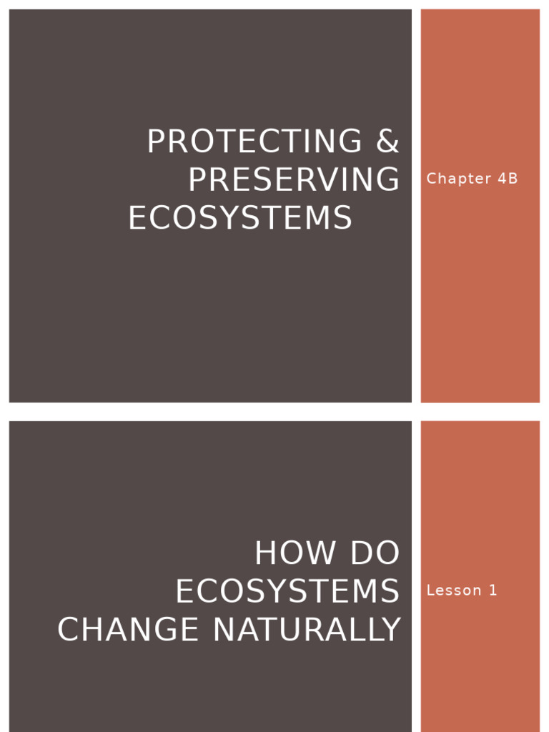 Chapter 4b PPT | PDF