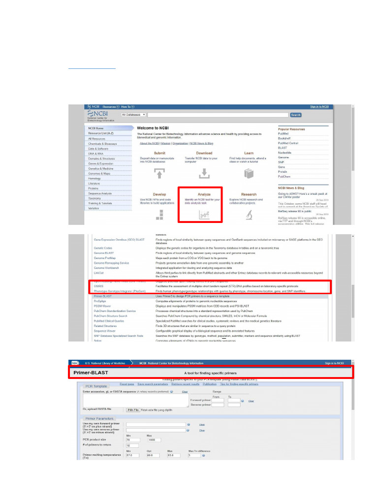 Tutorial Desain Primer Menggunakan Web | PDF