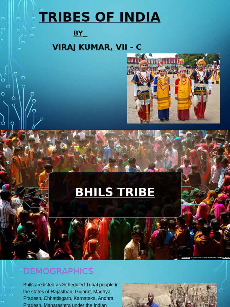 SSc - Tribes of India | PDF