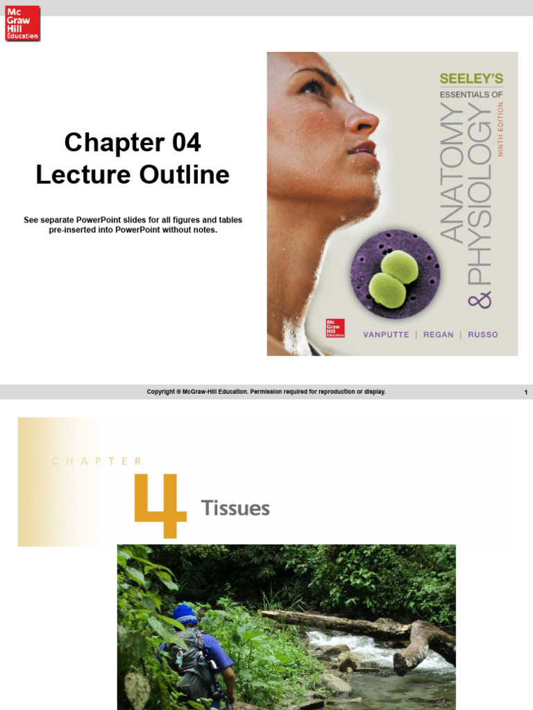 Chapt04 Lecture | PDF