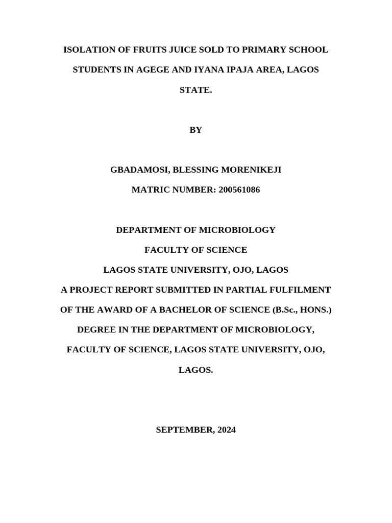 Blessing project write up | PDF