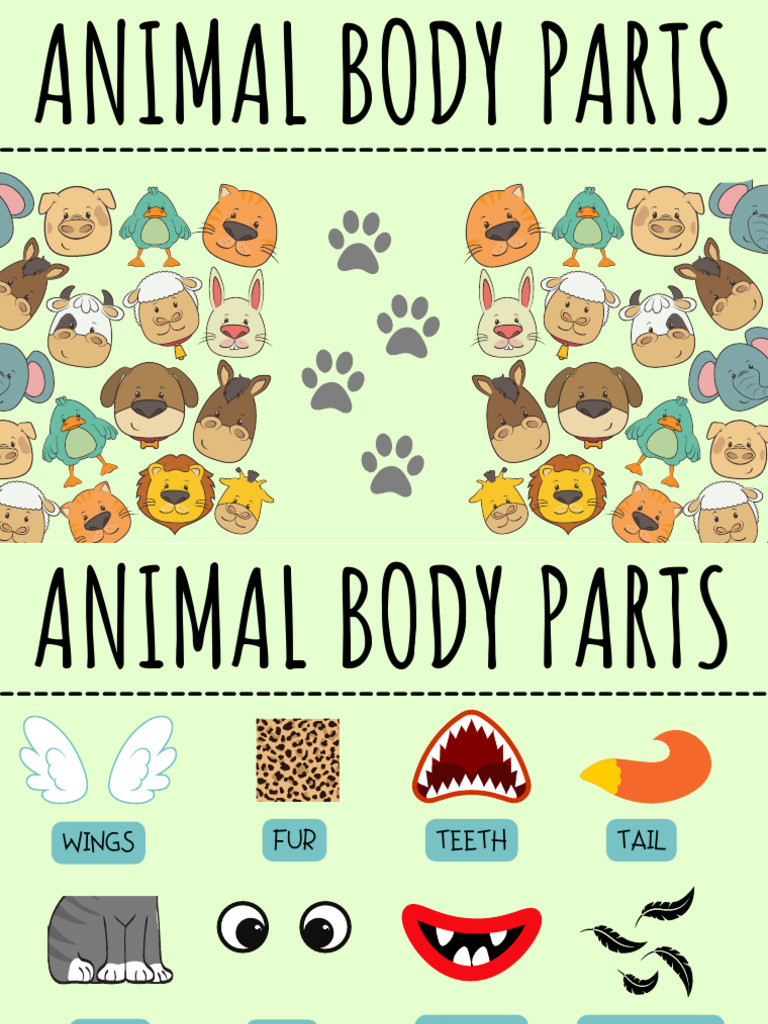 Body Parts - Animals | PDF