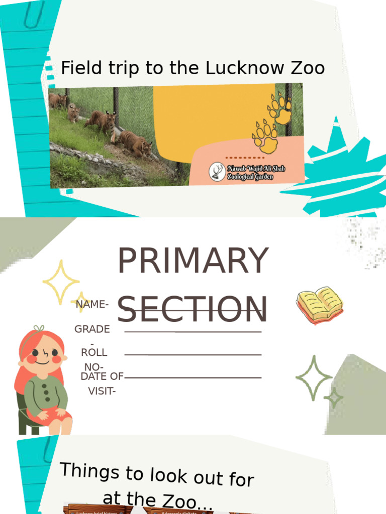 Field Trip To The Zoo - Primary 1 | PDF