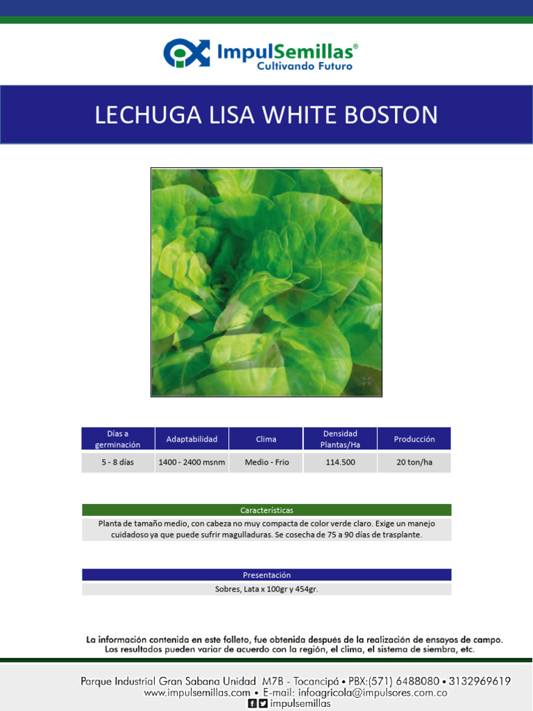 Ficha Tecnica Lechuga Lisa | PDF