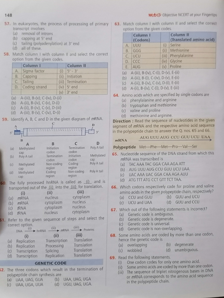 Molecular Basis of Inheritance Questions | PDF