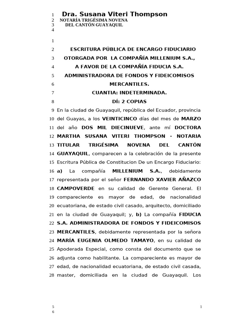 MATRIZ Encargo Fiduciario MILLENIUM - FIDUCIA | PDF