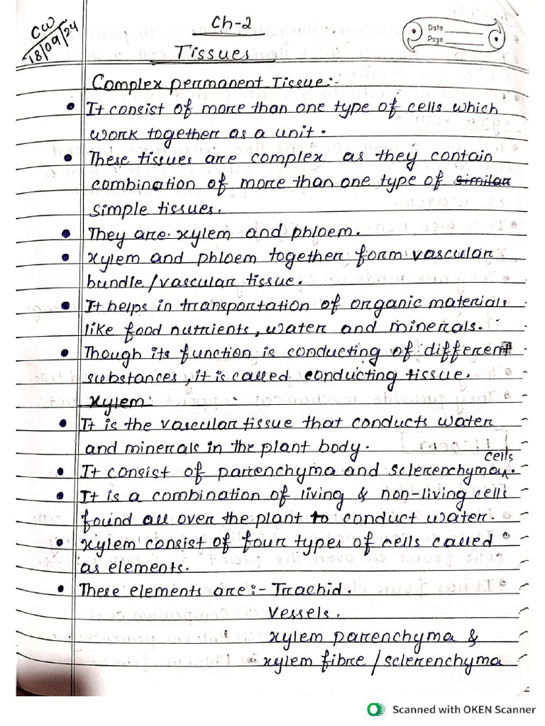 Class 9 Biology Complex Permanent Tissue | PDF