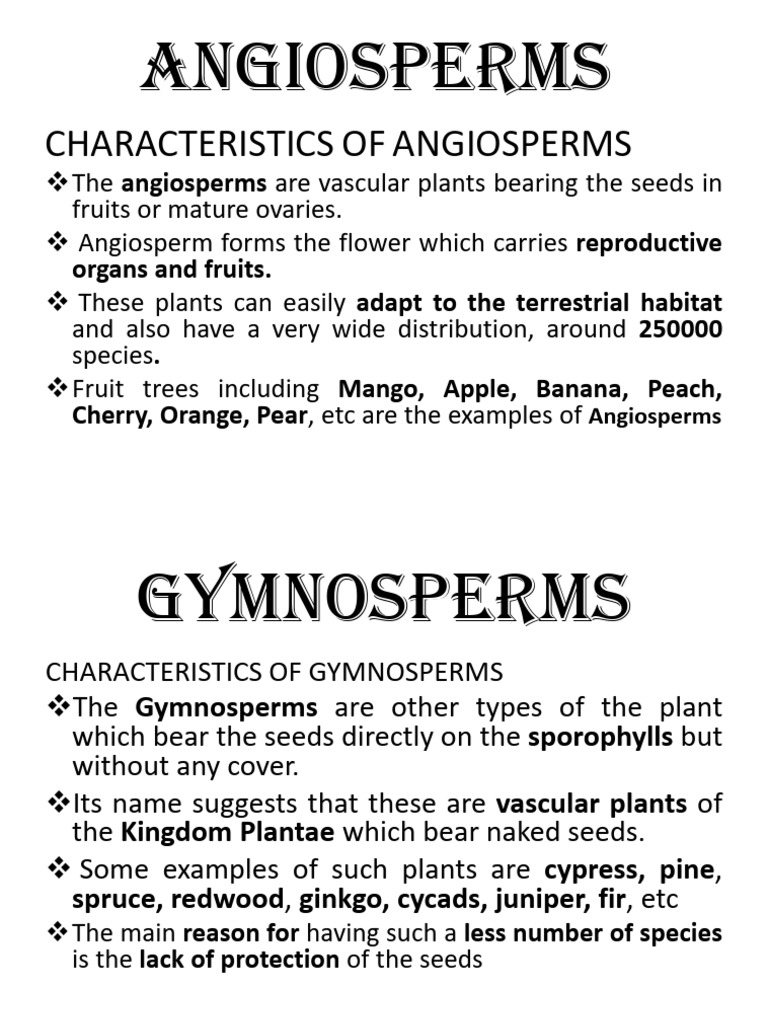 Angiosperms | PDF