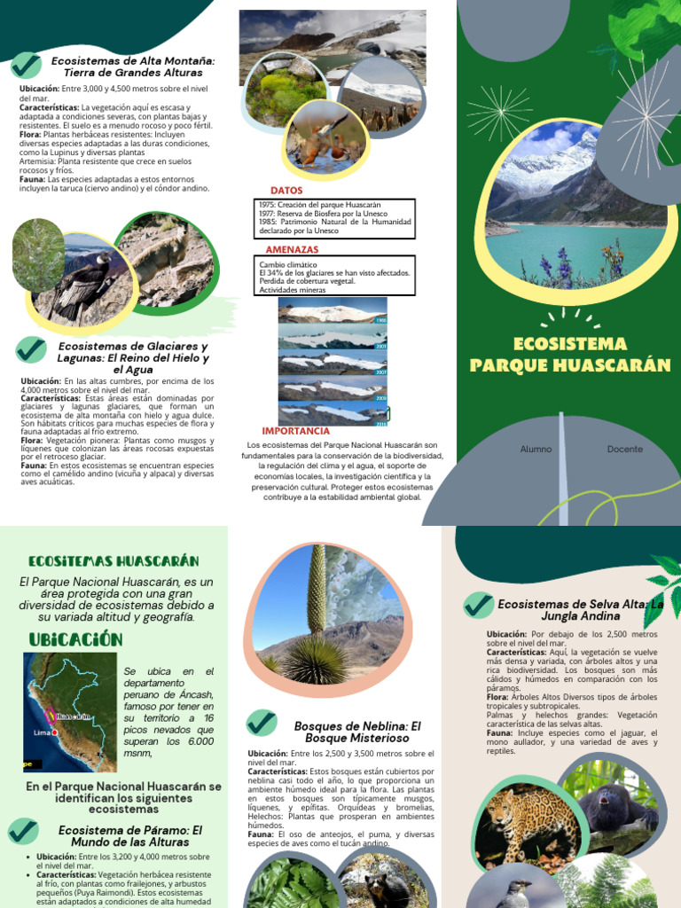 Triptico Ecosistemas Del Huascaran | PDF | Selva | Ecosistema