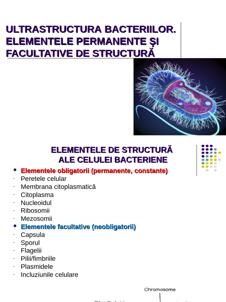 Ultrastructura Bacteriilor 24 100622 100884 | PDF