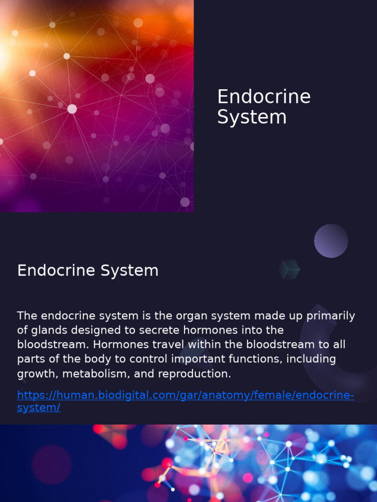 Endocrine Overview | PDF