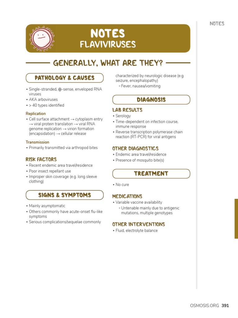 Flav I Viruses | PDF