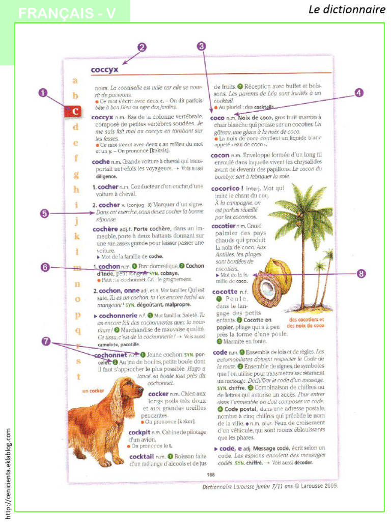 Documents Dictionnaire | PDF