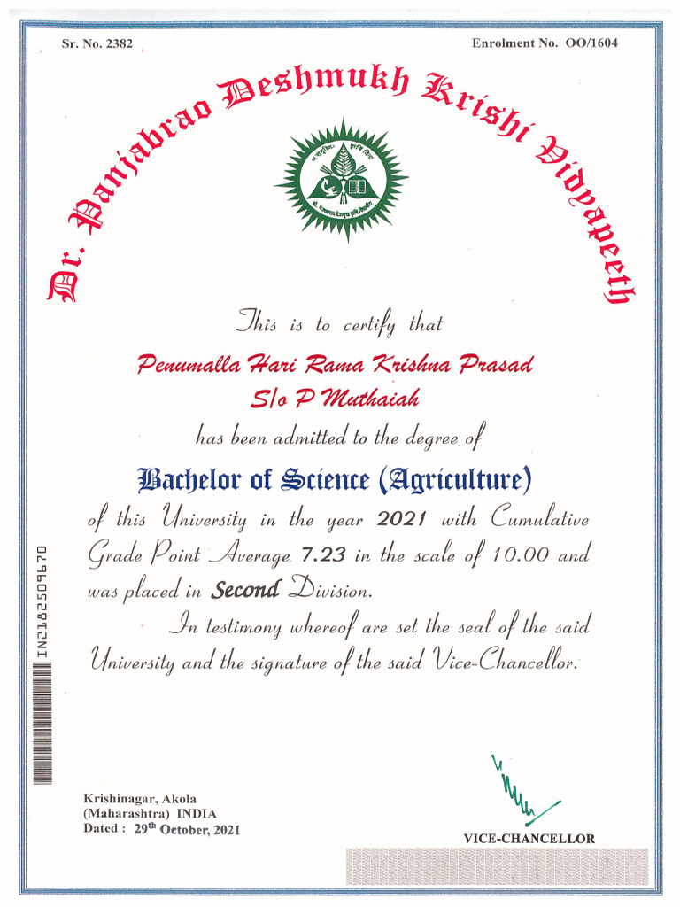 Bachelor Degree Certificate | PDF