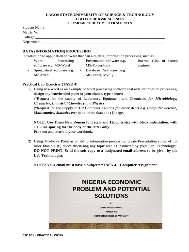 CSC Practical Work Task 4 | PDF
