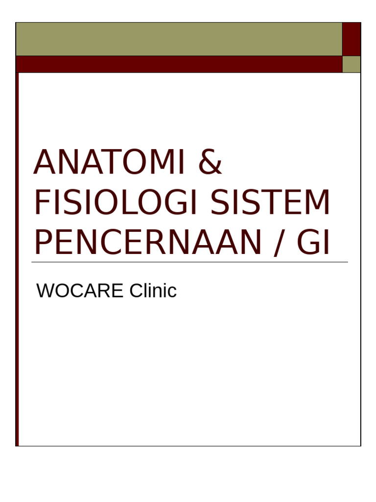 Anatomi Sal Cerna | PDF