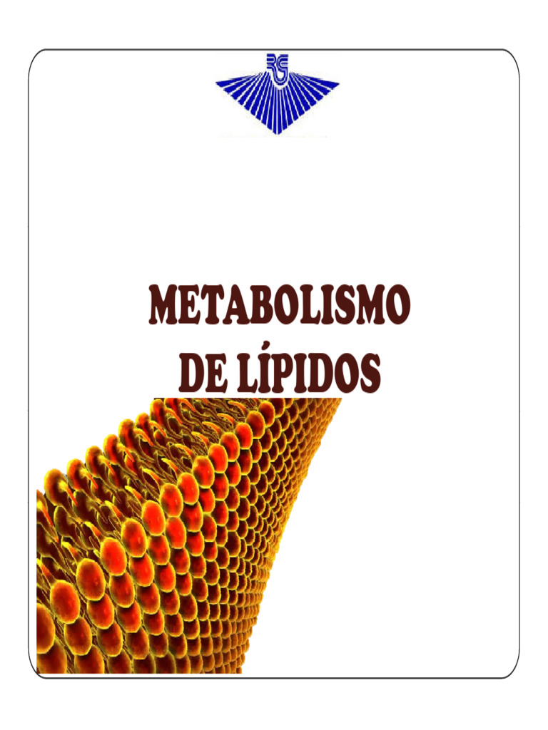 Lipidos Medicina | PDF
