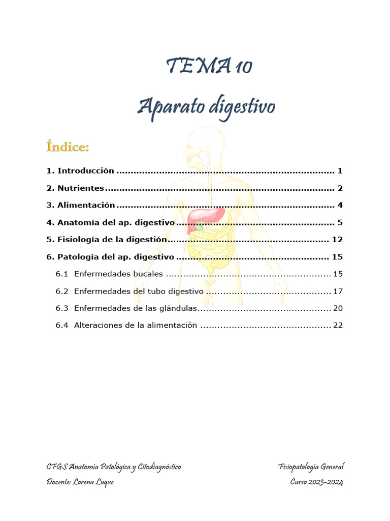 Tema 10 Digestivo DEF | PDF