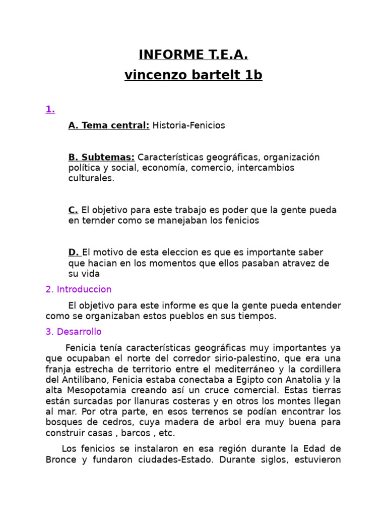 TEA Informe Vincenzo Bartelt | PDF