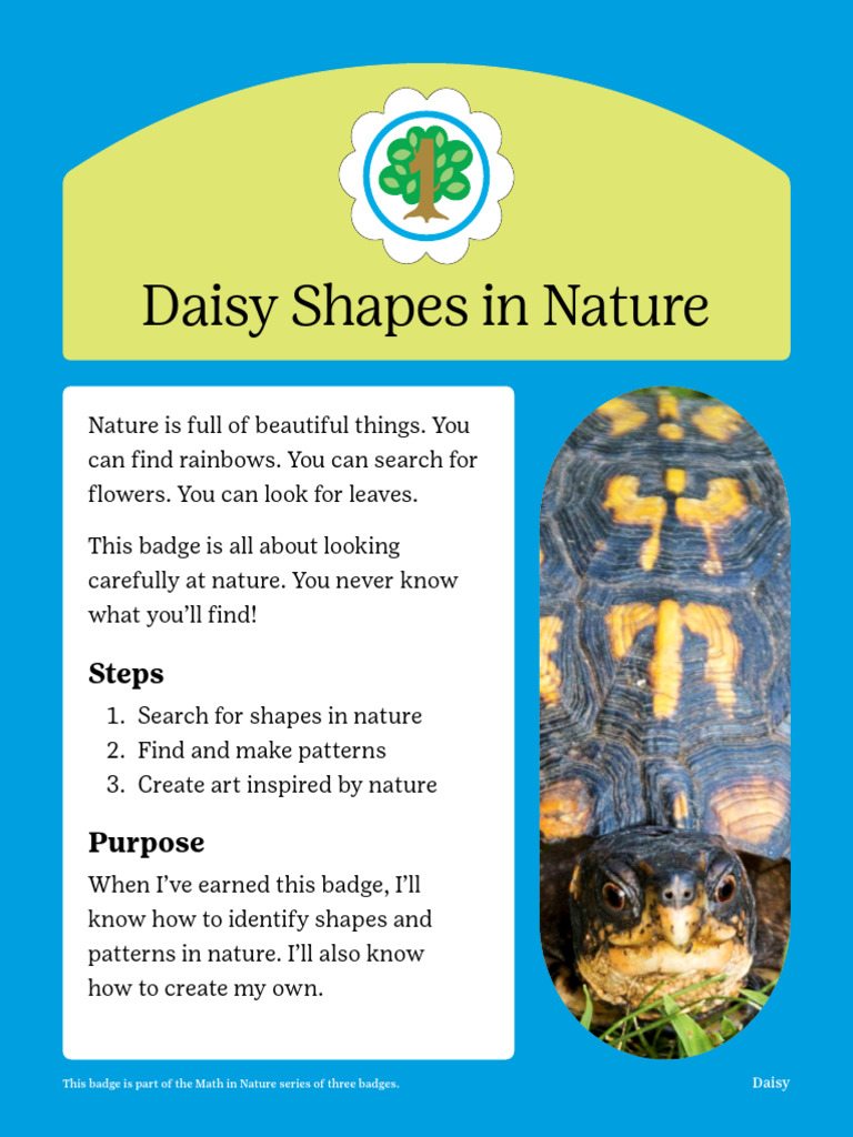 daisy_shapes_in_nature_digital_badge_booklet | PDF